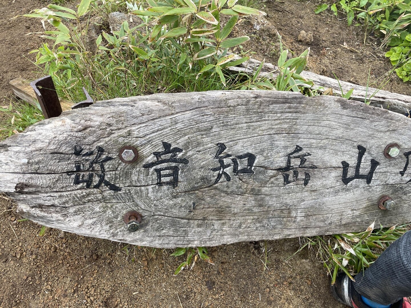 敏音知登山マラソン / bayさんの敏音知岳の活動データ | YAMAP / ヤマップ