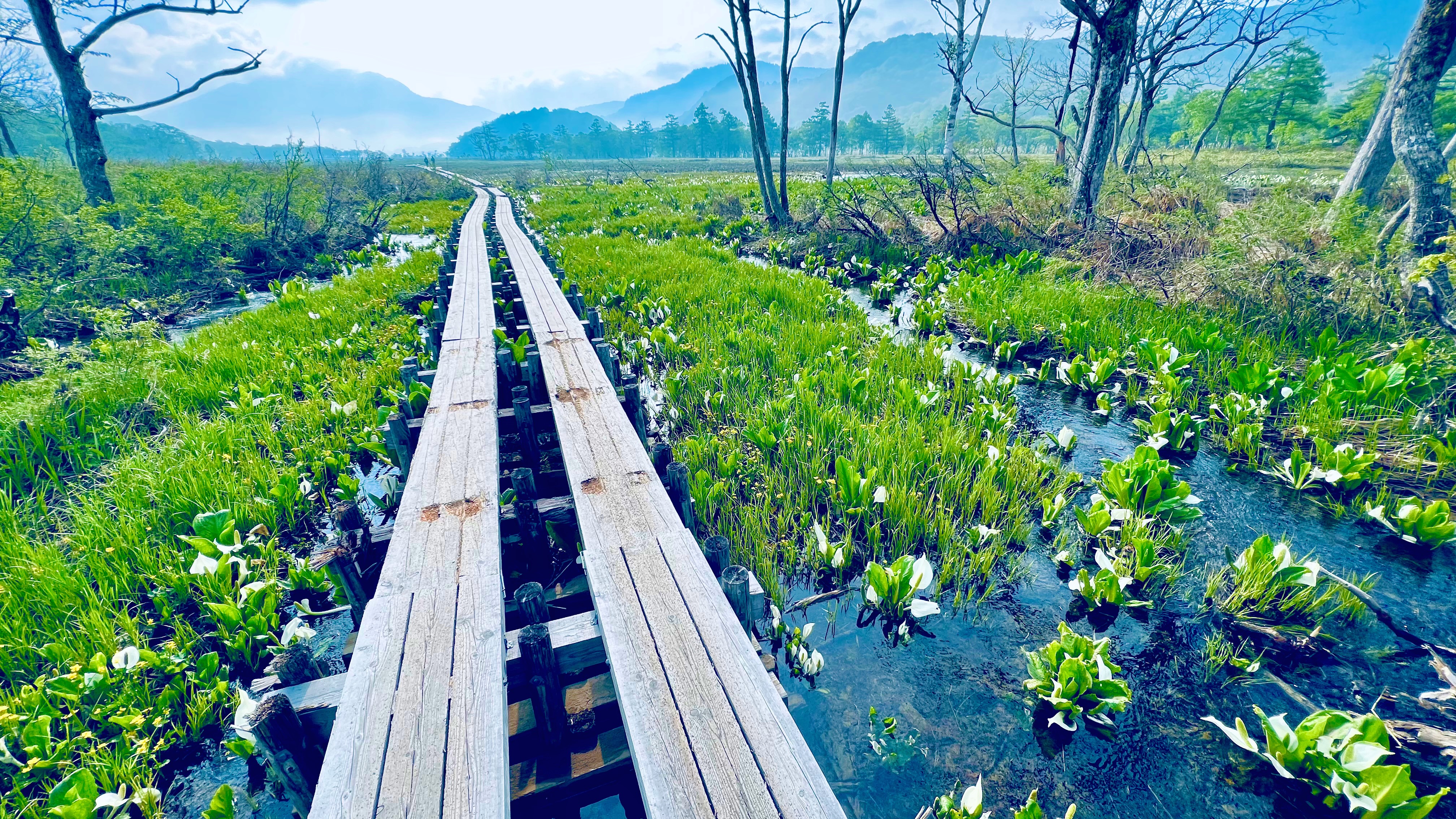 はるかな尾瀬 遠い空 / publiusさんの尾瀬・燧ヶ岳の活動日記 | YAMAP / ヤマップ