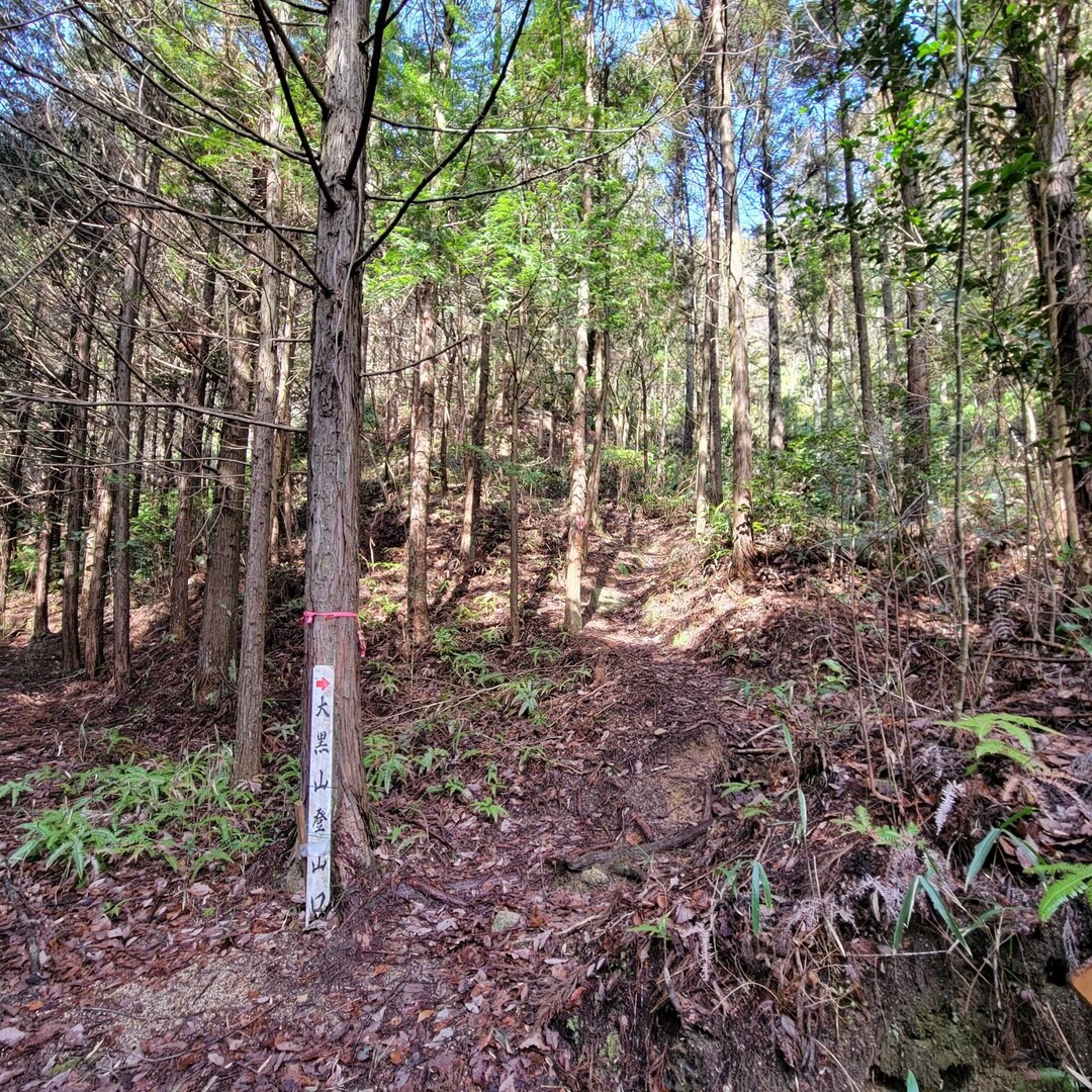 NOMさんの投稿したフィールドメモ | YAMAP / ヤマップ