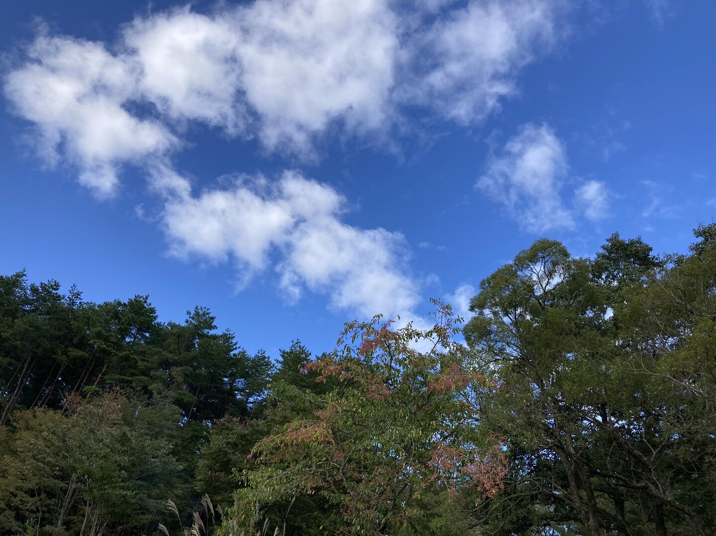 2022.10.08(土) 06:18 / sangaku3さんのモーメント | YAMAP / ヤマップ