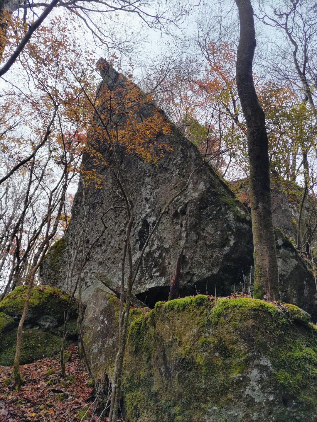 思親山・三石山 / Rioさんの思親山・三石山の活動データ | YAMAP / ヤマップ