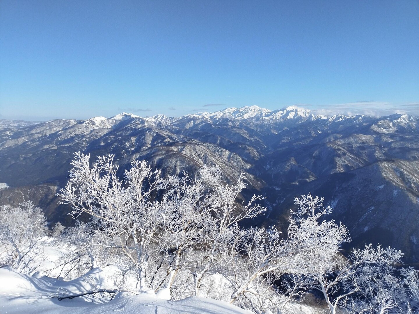 登り初めは荒島岳 / tsさんの荒島岳の活動データ | YAMAP / ヤマップ