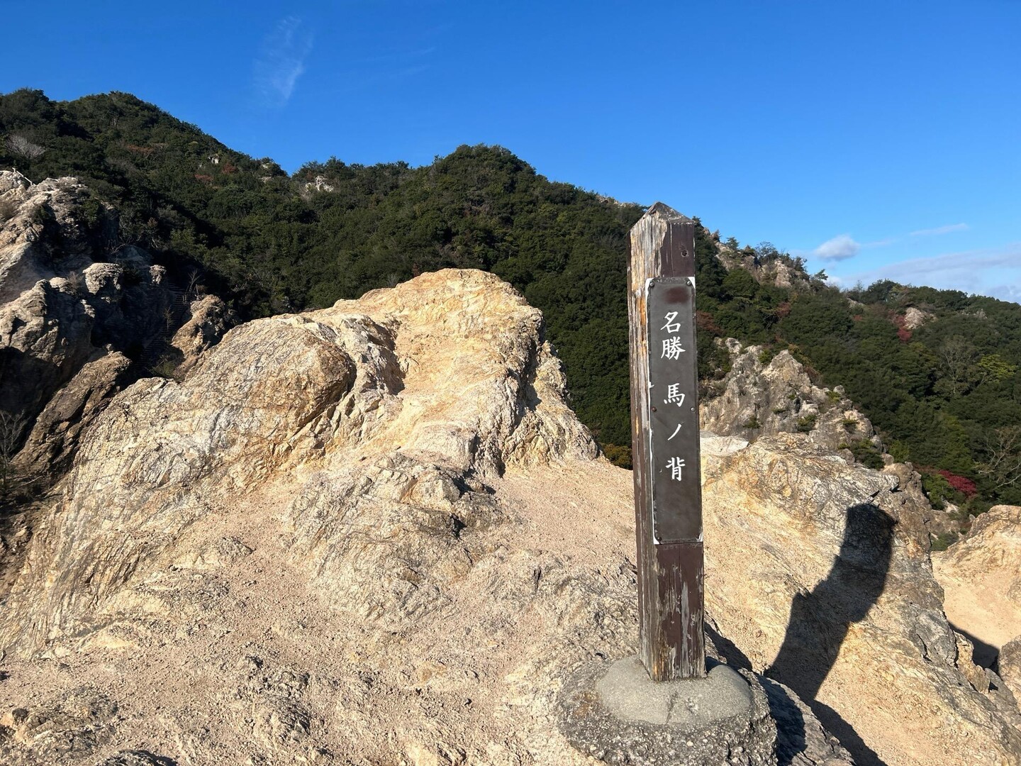 旗振山・鉄拐山・高倉山・栂尾山・横尾山・東山・🌹離宮公園 / Madelineさんの六甲山・長峰山・摩耶山の活動データ | YAMAP / ヤマップ