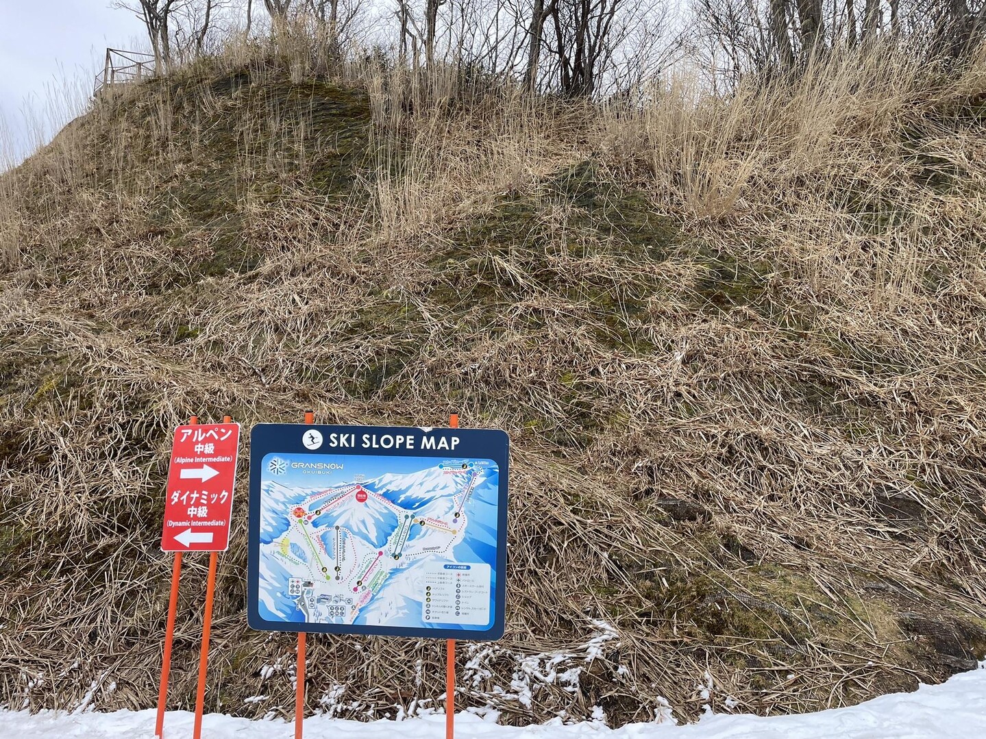 グランスノー奥伊吹（日の出山） / NALUさんのグランスノー奥伊吹の活動データ | YAMAP / ヤマップ