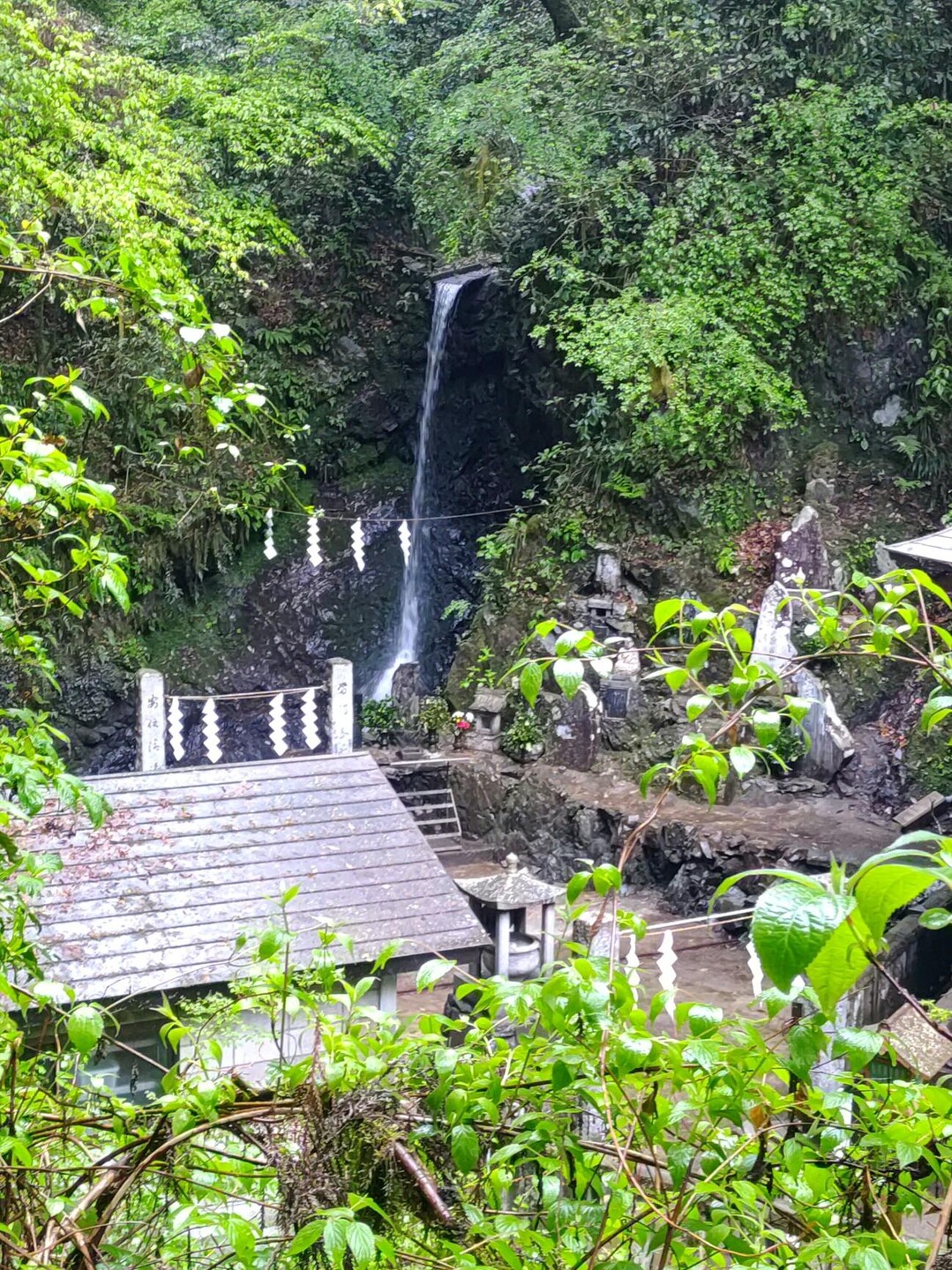 ギネスに挑戦⁉️(雨天決行)😁 / keiAM60さんの高尾山・陣馬山・景信山の活動データ | YAMAP / ヤマップ