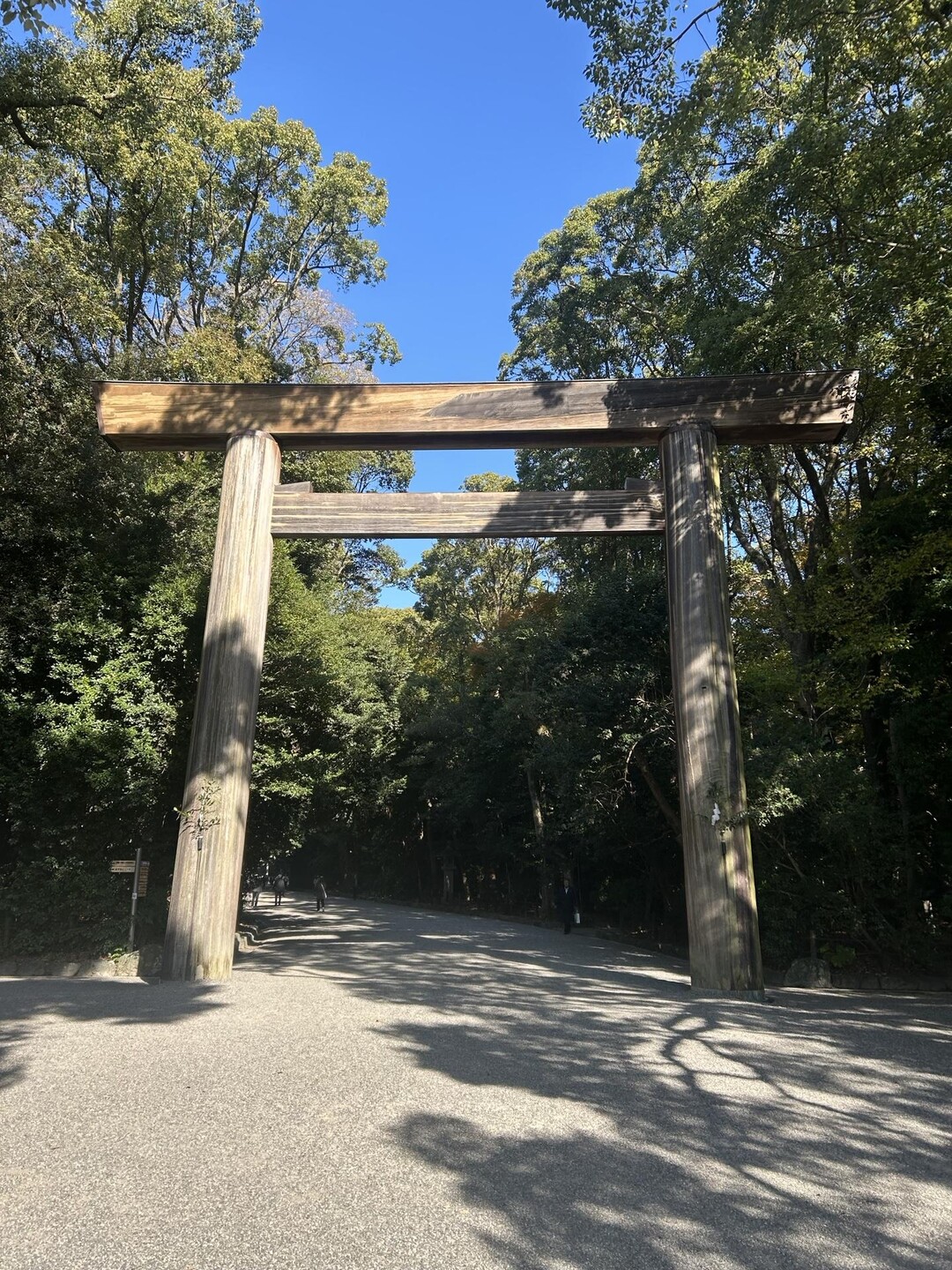 rayのページ | YAMAP / ヤマップ