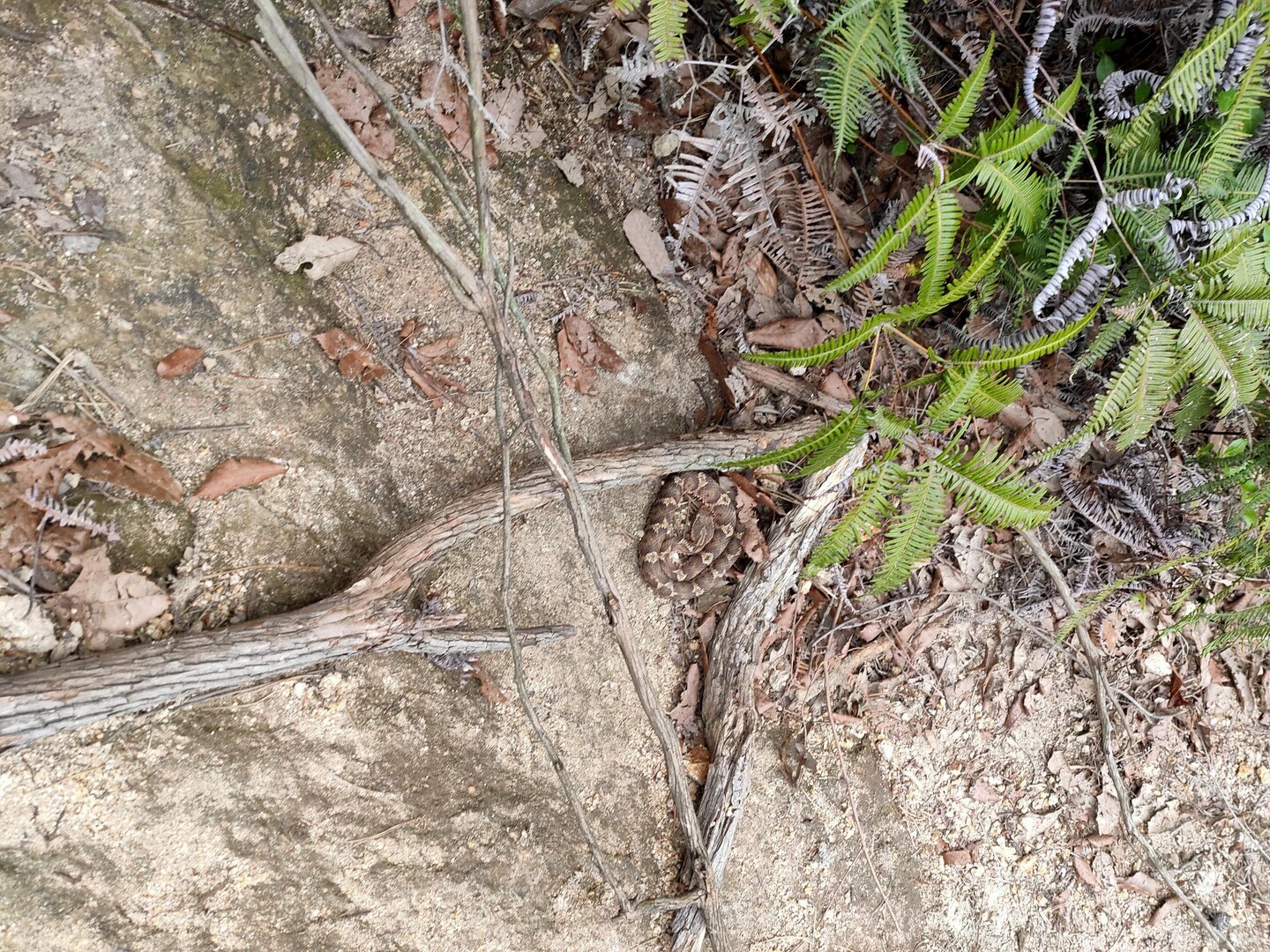 noriさんの投稿したフィールドメモ | YAMAP / ヤマップ