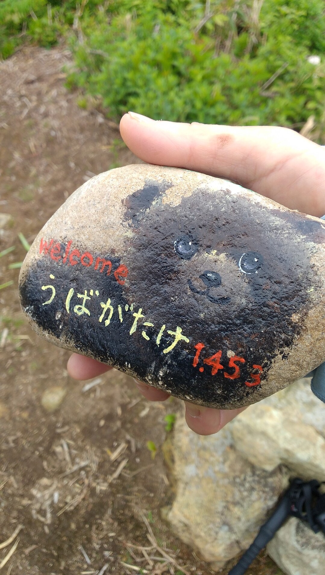 姥ヶ岳 / opal糸さんの姥ヶ岳の活動データ | YAMAP / ヤマップ