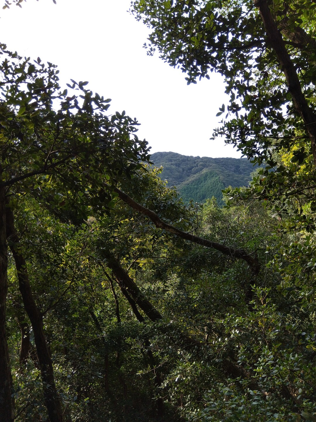 k54さんの投稿したフィールドメモ | YAMAP / ヤマップ