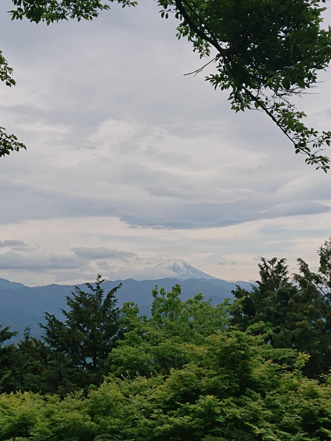 奈良子峠から小仏城山へ / KGさんの高尾山・陣馬山・景信山の活動データ | YAMAP / ヤマップ