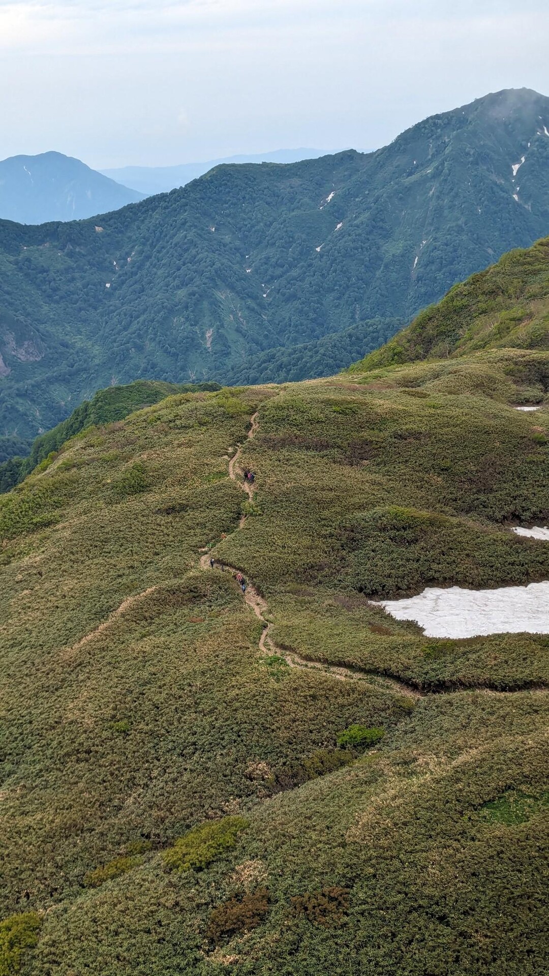 女神に会いに雨飾山 / Goodsunさんの雨飾山・大渚山・天狗原山・戸倉山の活動データ | YAMAP / ヤマップ
