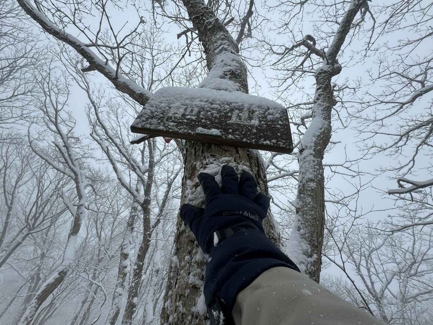 元気出そう〜 ️と思って医王山 / TARUMIさんの医王山・白兀山・箱屋谷山の活動データ | YAMAP / ヤマップ