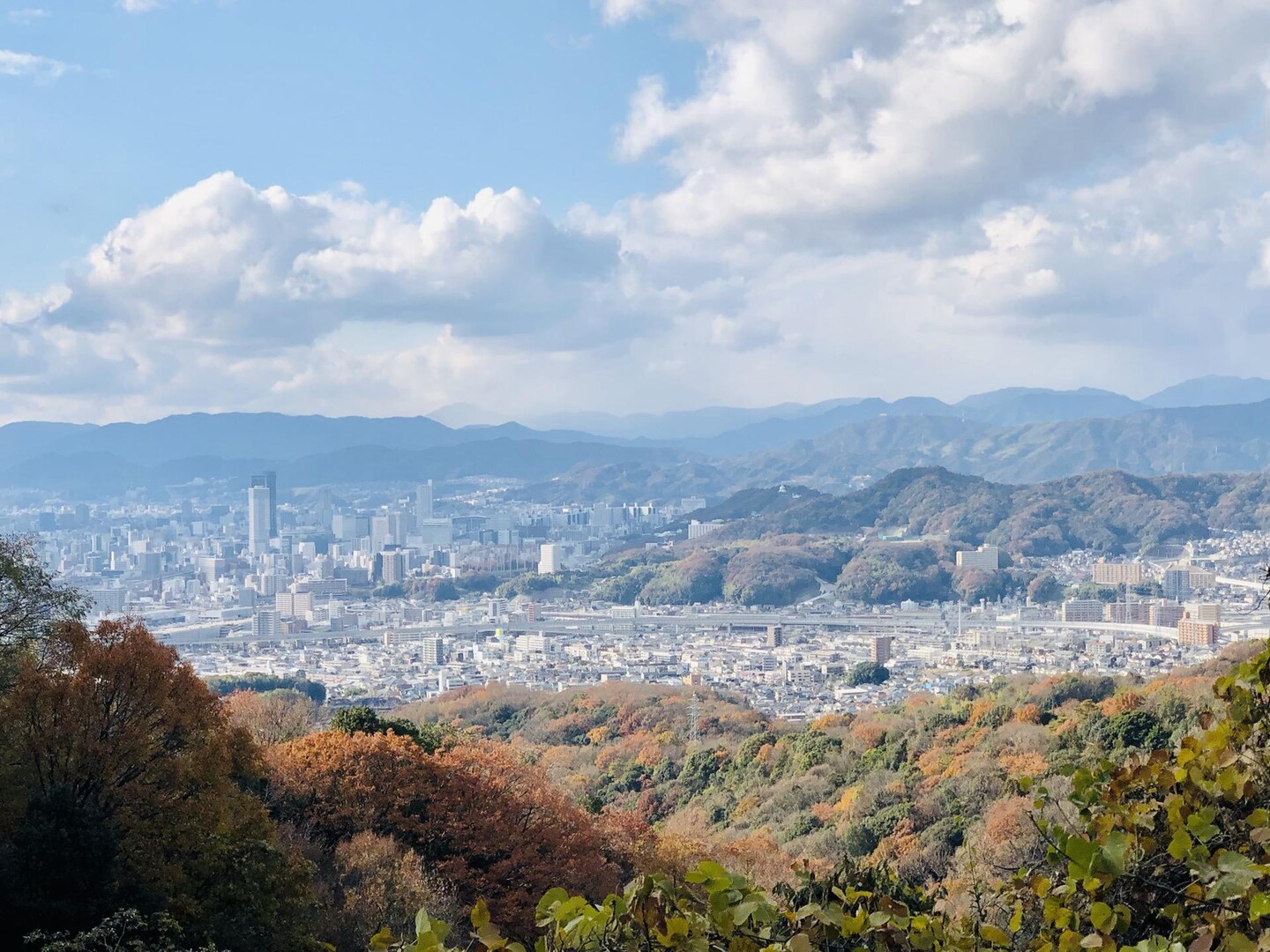 小勝負山・〇大勝負山 / Coo・kie（くぅ🗝️）さんの広島市の活動データ | YAMAP / ヤマップ