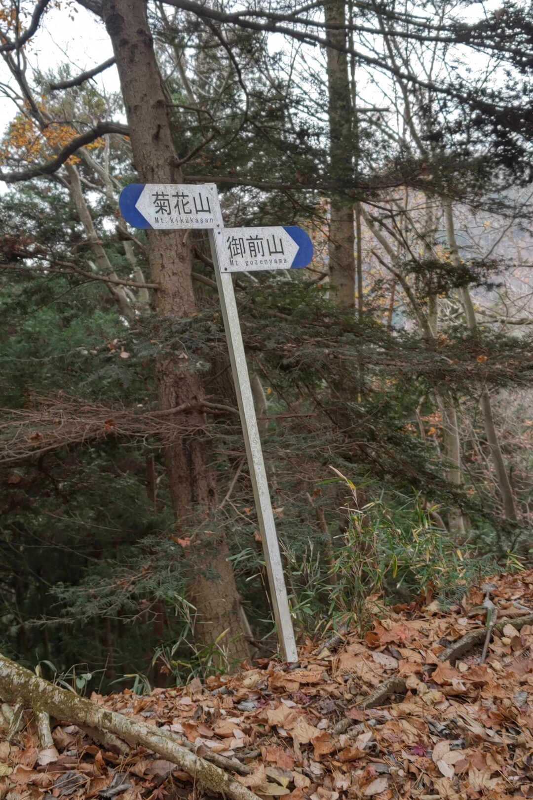 Hectorさんの投稿したフィールドメモ | YAMAP / ヤマップ