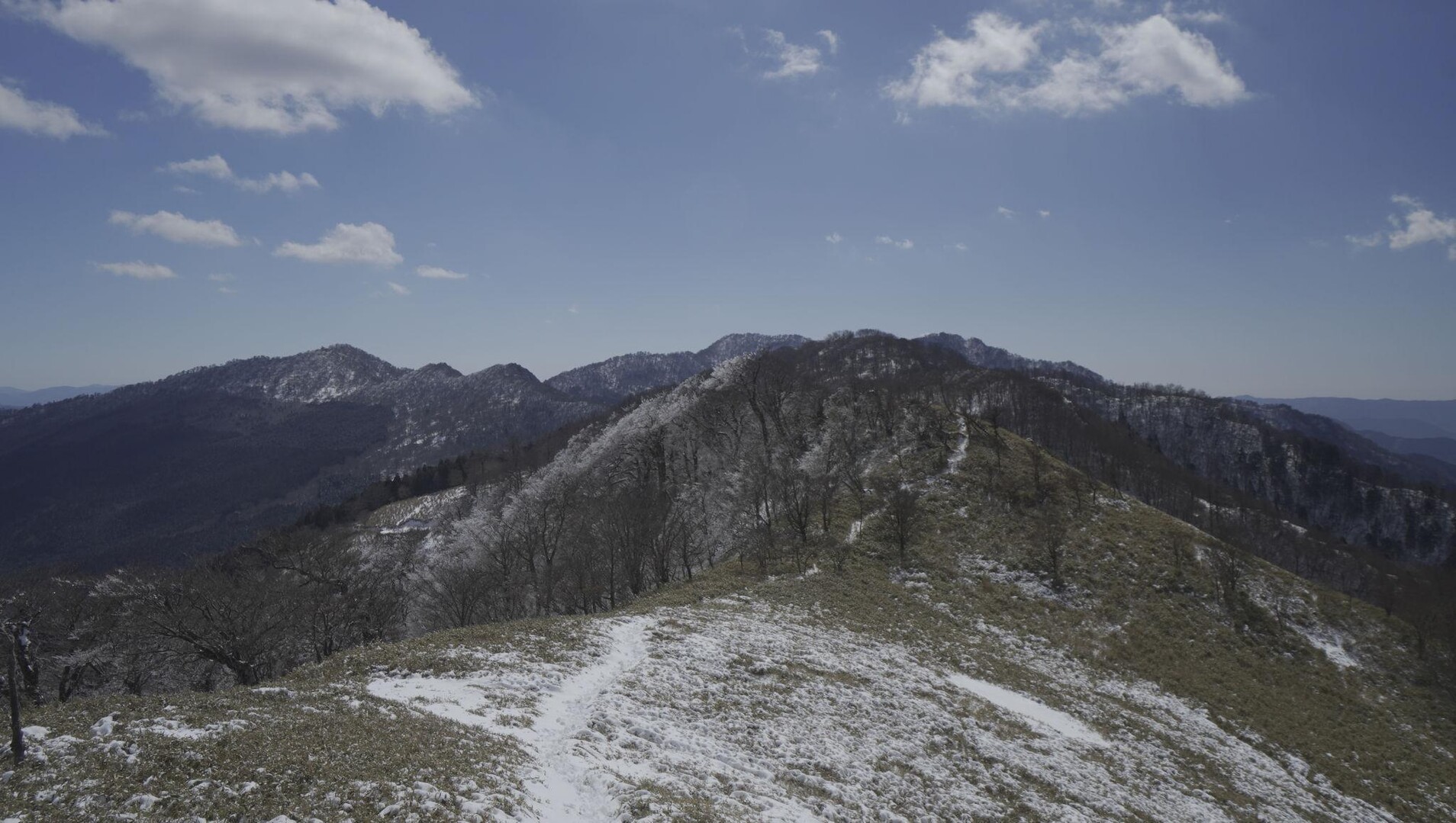 佐々連尾山 / FRVさんの佐々連尾山・大森山の活動データ | YAMAP / ヤマップ