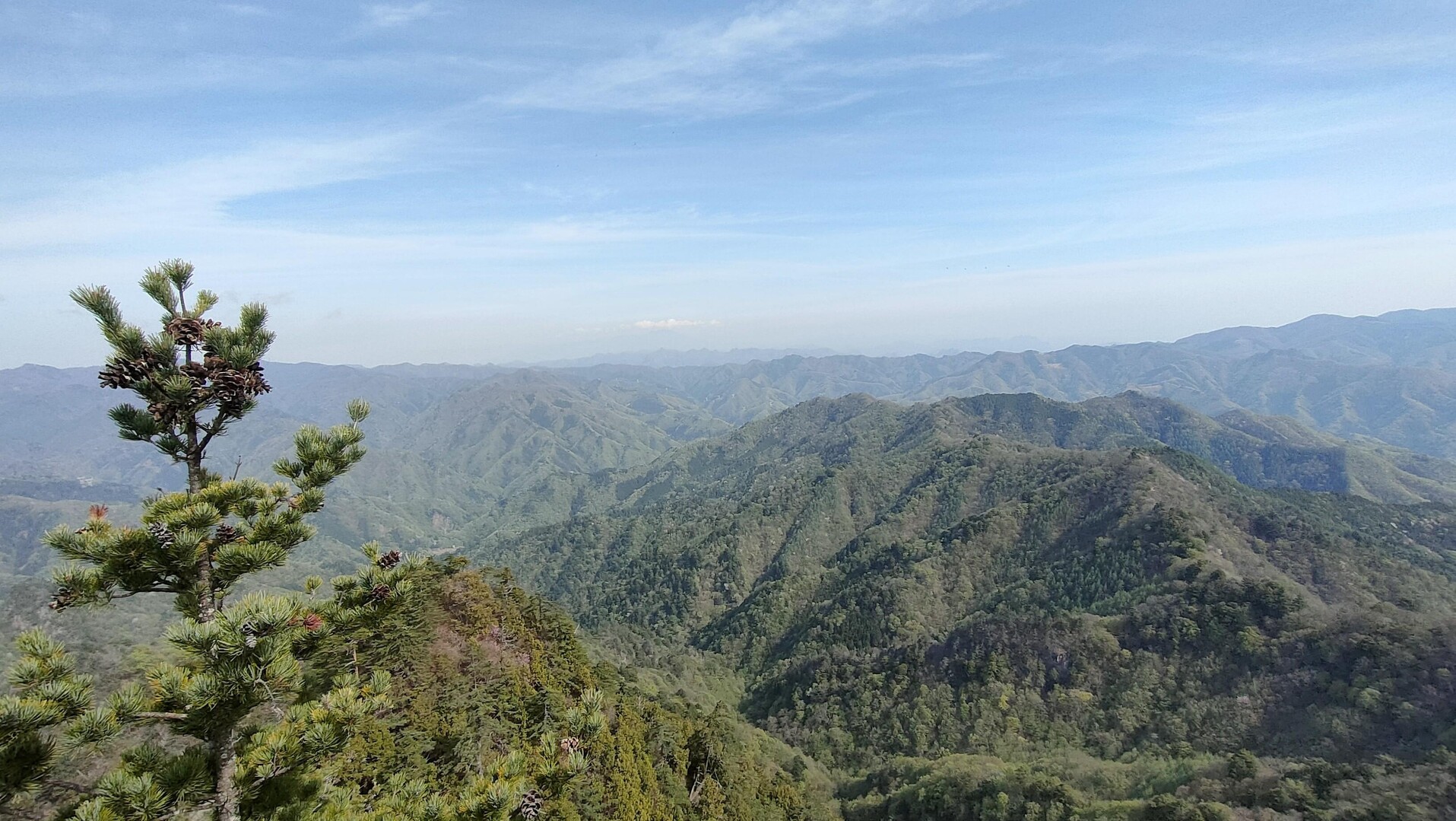 ツツジの穴場、静かに山を楽しめる諏訪山 / YK1989さんの諏訪山の活動データ | YAMAP / ヤマップ