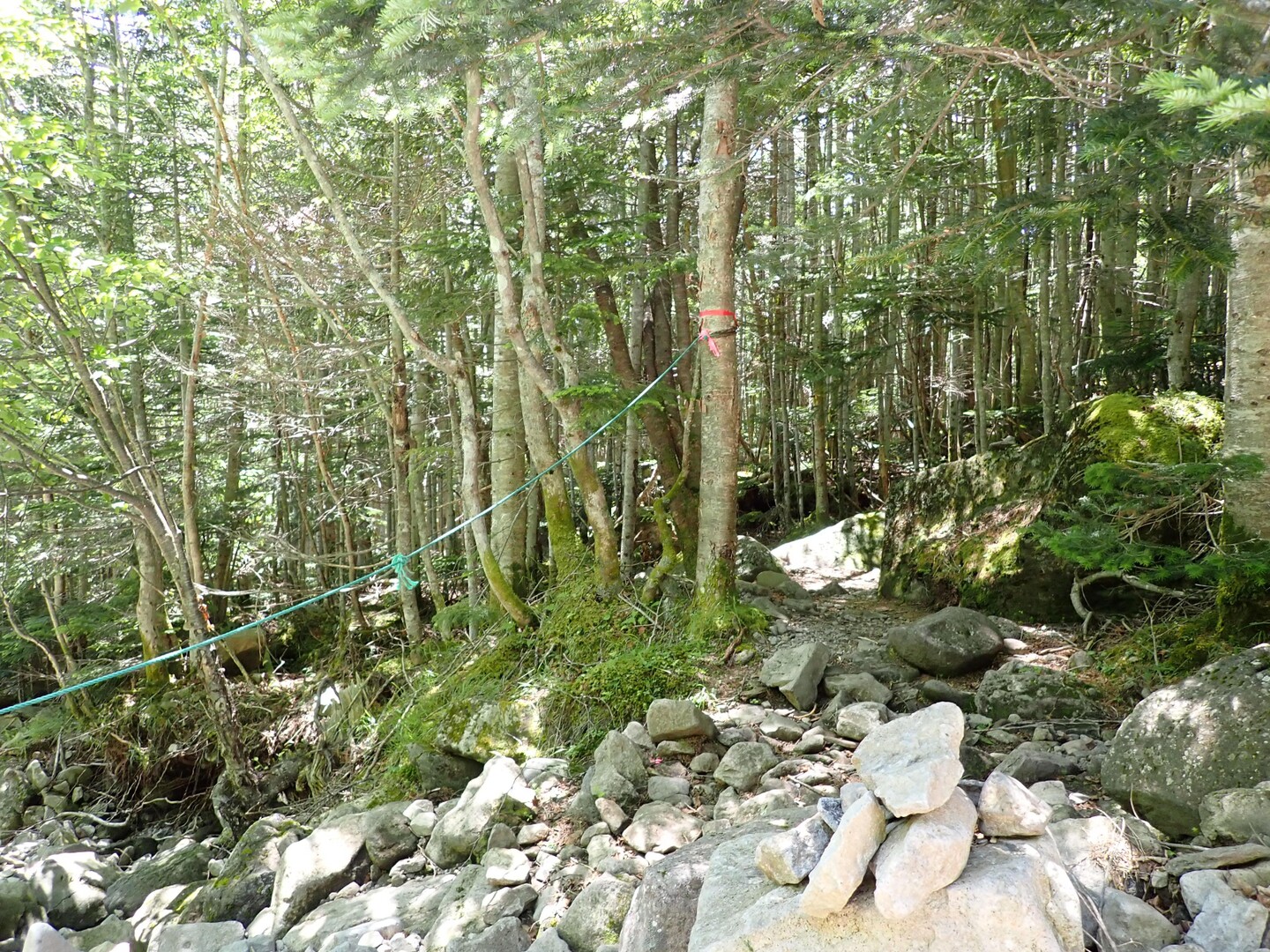 yudoburiさんの投稿したフィールドメモ | YAMAP / ヤマップ