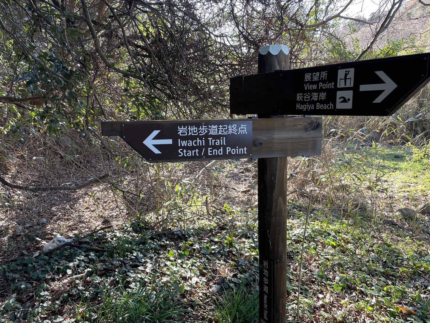 yumecampさんの投稿したフィールドメモ | YAMAP / ヤマップ