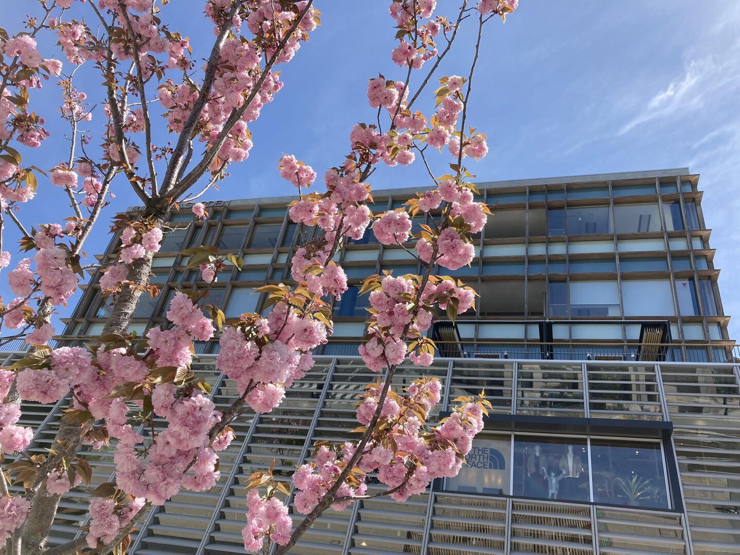 今日は風ありますが良い天気、気温上昇して... / mc40さんのモーメント | YAMAP / ヤマップ