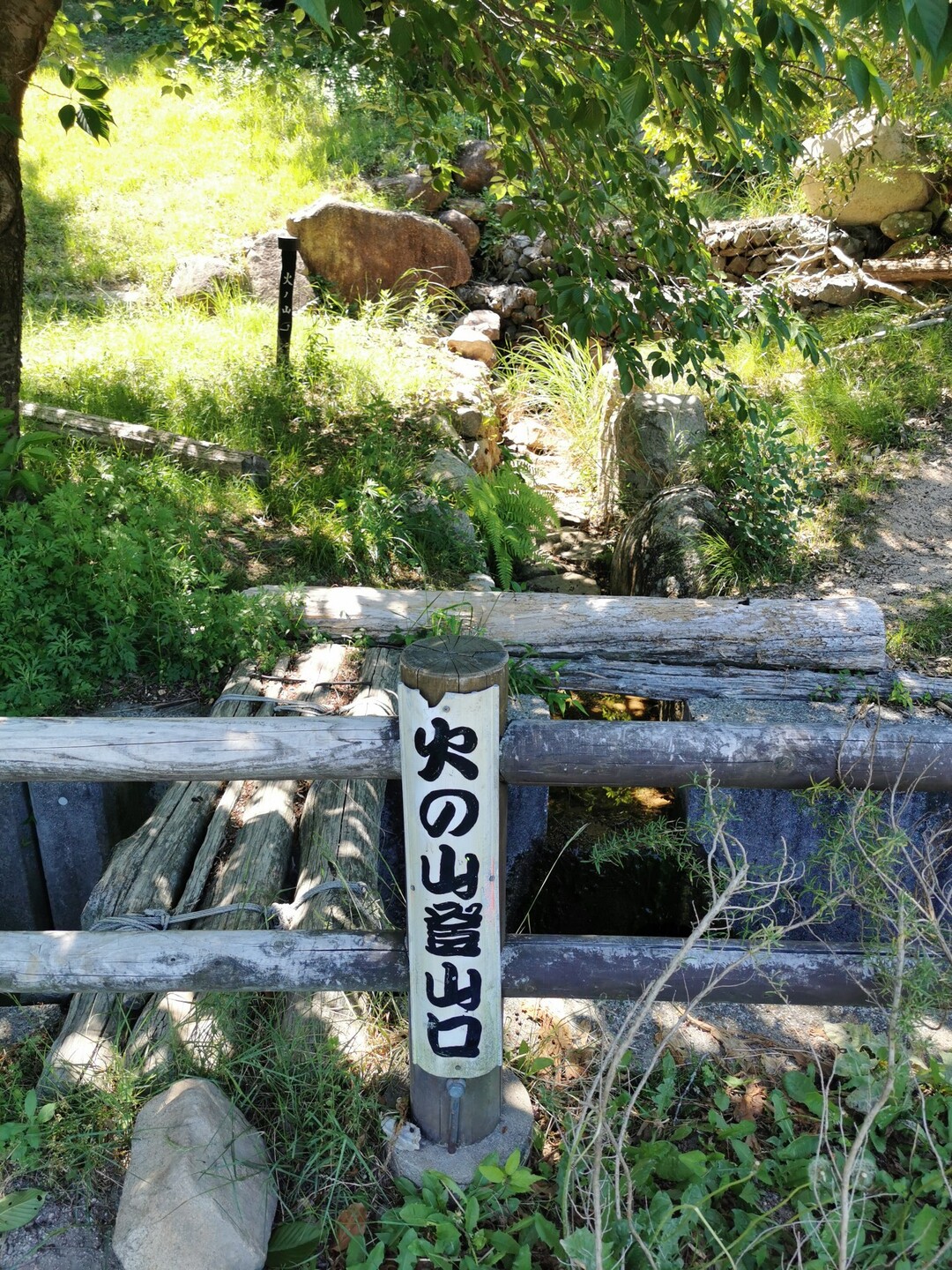 TokyoSallyさんの投稿したフィールドメモ | YAMAP / ヤマップ