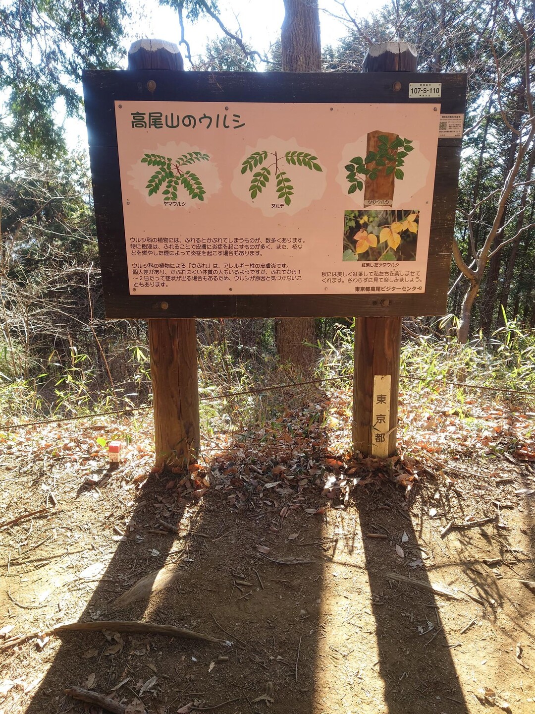 きみさんの投稿したフィールドメモ | YAMAP / ヤマップ