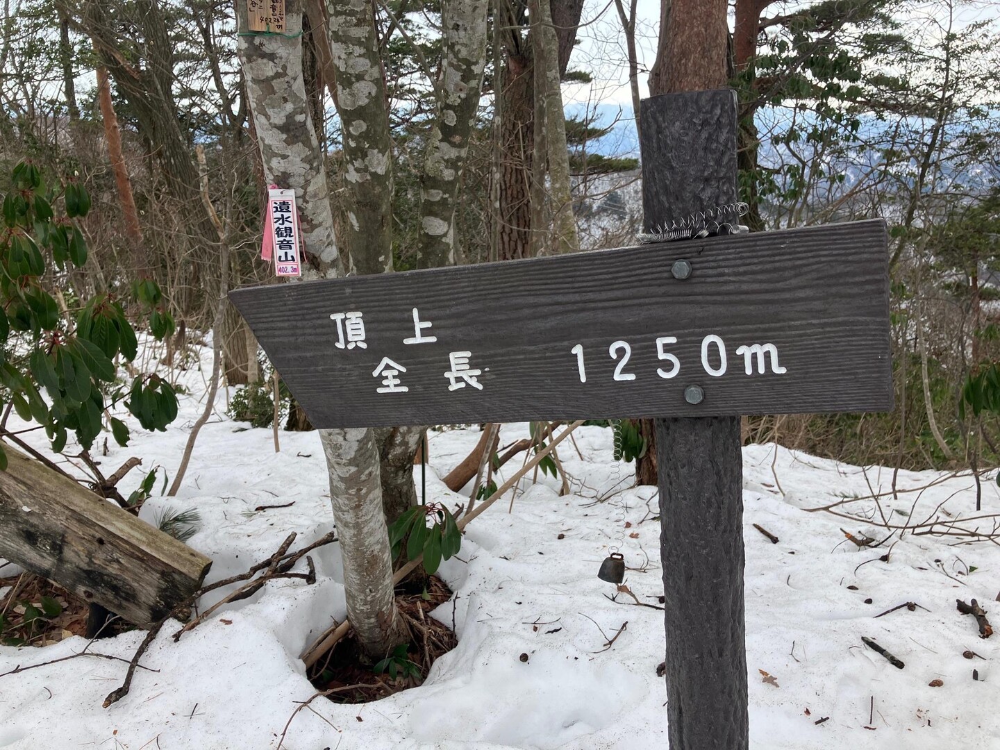冬の晴れ間は遣水観音山 / sono_01さんの遣水観音山・遊泉寺砂山・高野山の活動データ | YAMAP / ヤマップ