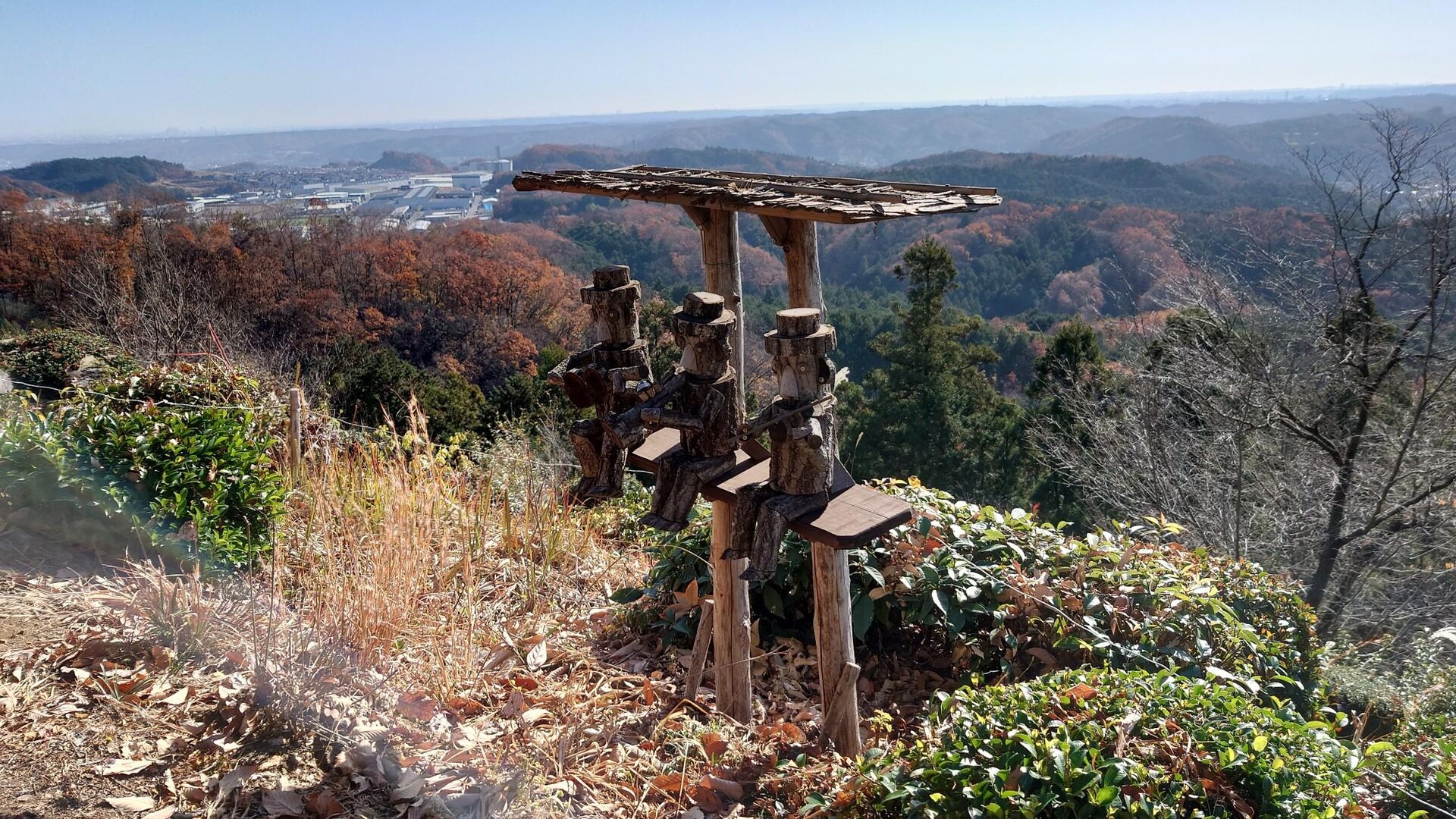 1周年企画続編 飯能里山巡り / Paulさんの天覧山・多峯主山・天覚山の活動データ | YAMAP / ヤマップ