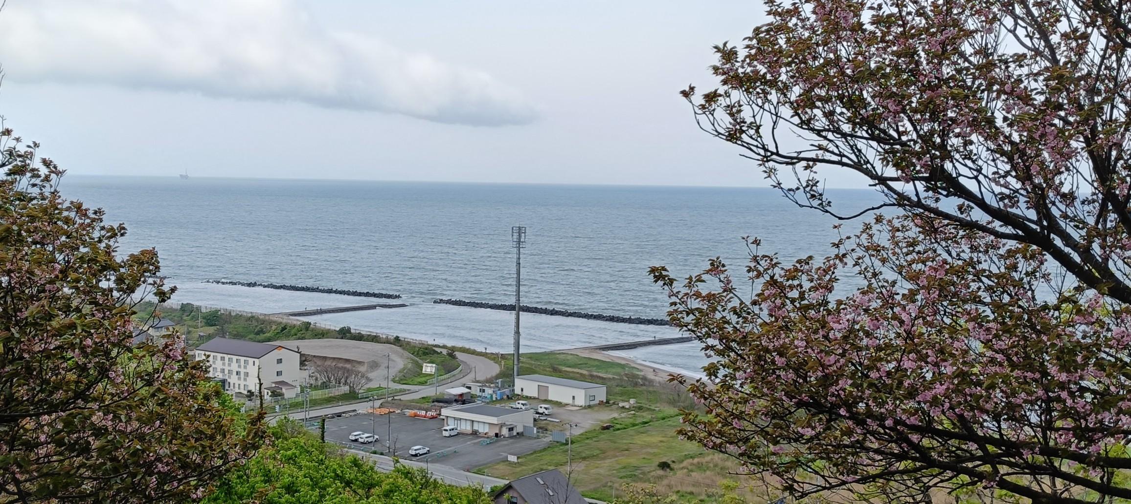 諸上寺山 / orangeさんの村上市（神林地区）の活動データ | YAMAP / ヤマップ