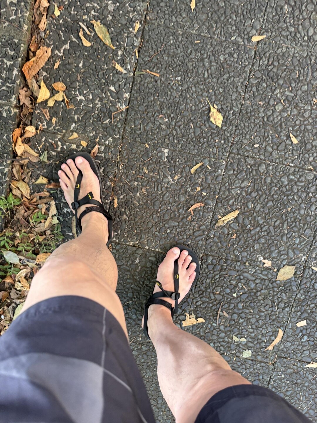 久々に気持ちよくてちょっとペースを上げて... / bagel_wさんのモーメント | YAMAP / ヤマップ