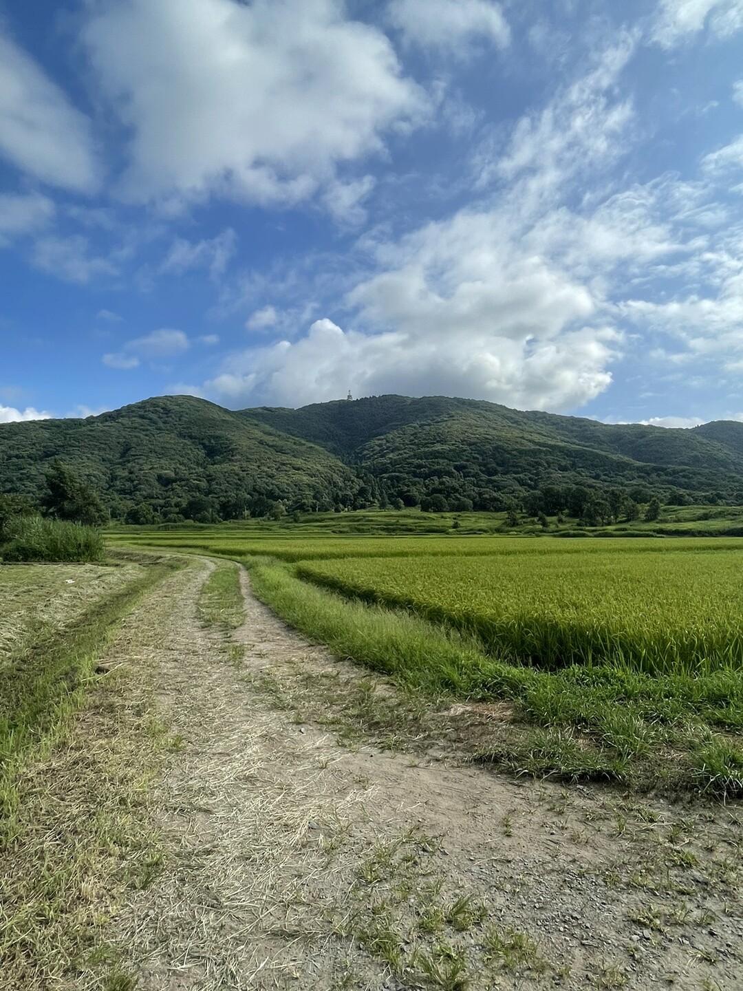 初！宝篋山⛰ / RUmama🍃さんのウォーキングの活動データ | YAMAP / ヤマップ