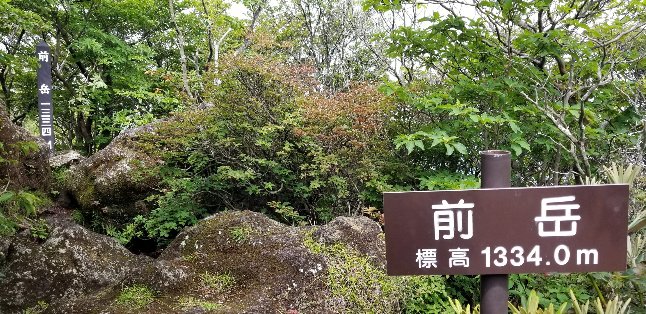 Kさんの投稿したフィールドメモ | YAMAP / ヤマップ