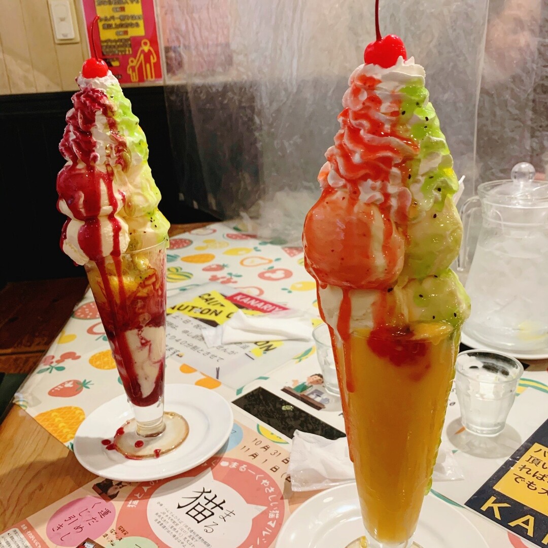 20代の時ぶりのカナリヤ🍨！！ 胃袋が... / ちえぽんさんのモーメント | YAMAP / ヤマップ