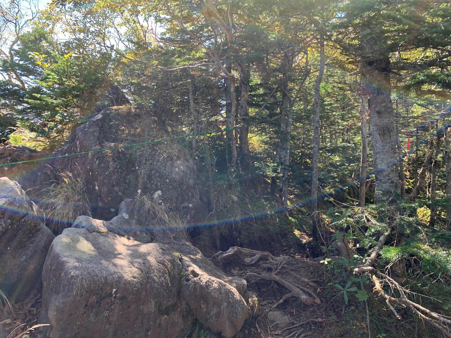 ぶんさんの投稿したフィールドメモ | YAMAP / ヤマップ