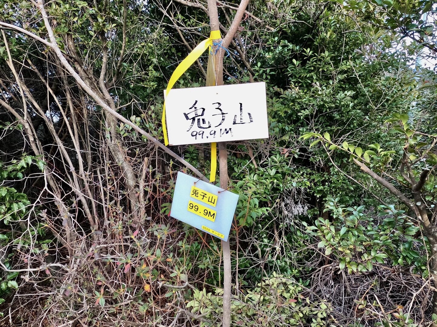 兎子山 【香川】 / z.f.umiさんの火ノ山・十瓶山の活動データ | YAMAP / ヤマップ