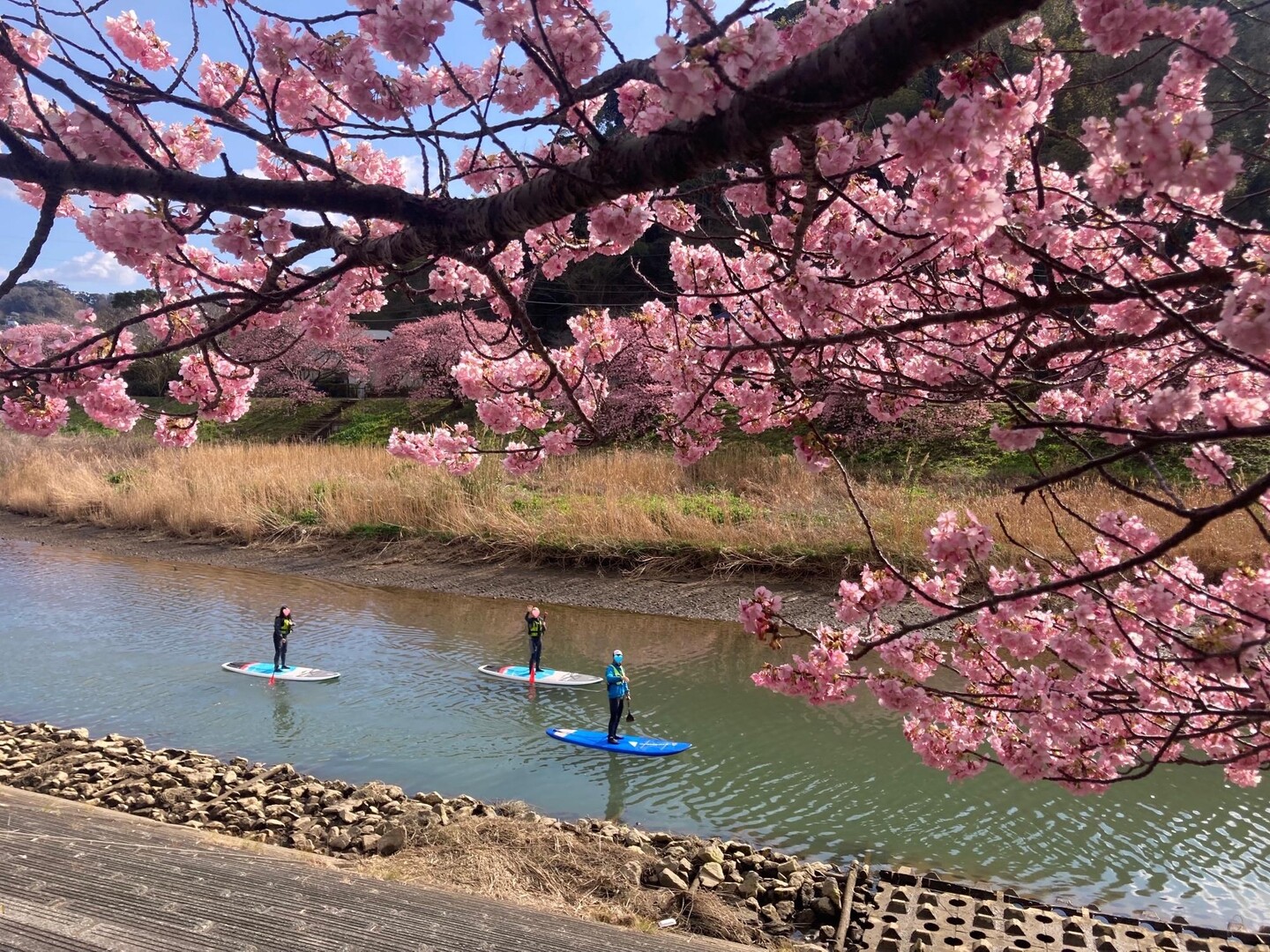 復活😆三筋山とSUPでお花見🌸 / amiさんの天城山・鉢ノ山・三筋山の活動日記 | YAMAP / ヤマップ