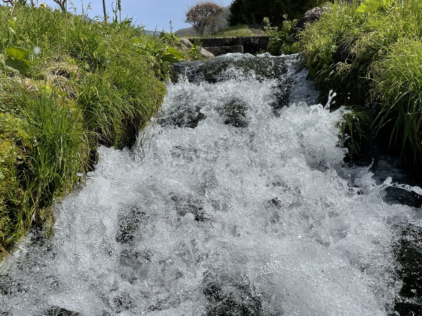 2022.06.18(土) 11:05 / ケロケロ🐸🐸🐸さんのモーメント | YAMAP / ヤマップ