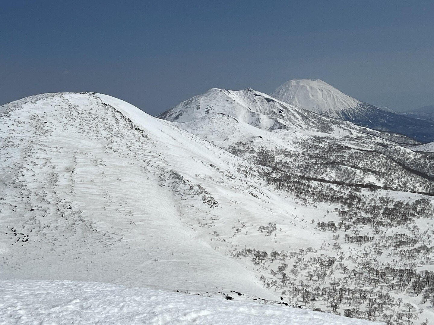 シャクナゲ岳 / tommyさんのニセコアンヌプリ・イワオヌプリ・チセヌプリの活動データ | YAMAP / ヤマップ