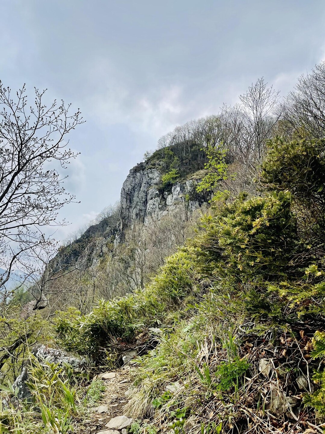 銭函天狗山 / dadswebさんの手稲山・奥手稲山の活動データ | YAMAP / ヤマップ