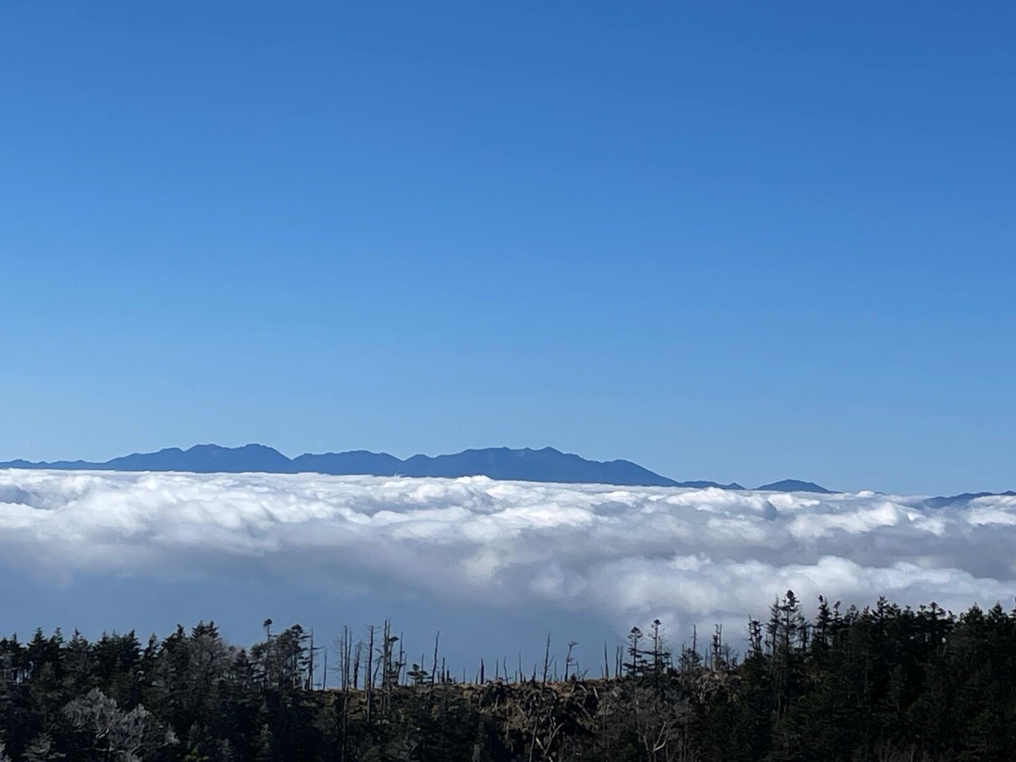 北横岳（南峰）・北横岳（北峰） / Mitchさんの蓼科山・横岳・縞枯山の活動データ | YAMAP / ヤマップ