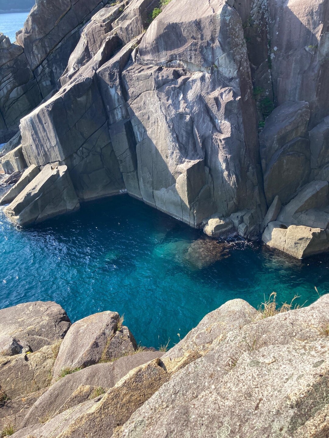 オハイ&頂山 / doalaさんの八鬼山・頂山・オハイの活動データ | YAMAP / ヤマップ