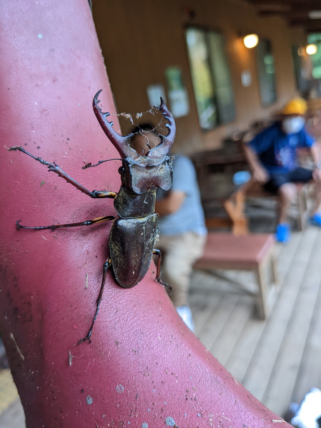 無事12時間行動し続けることができました... / bagel_wさんのモーメント | YAMAP / ヤマップ