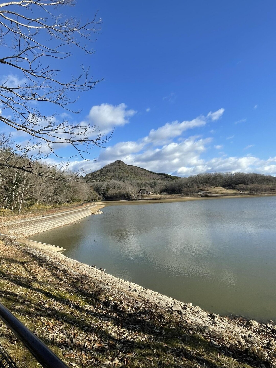 有馬富士 / kaoさんの有馬富士の活動データ | YAMAP / ヤマップ