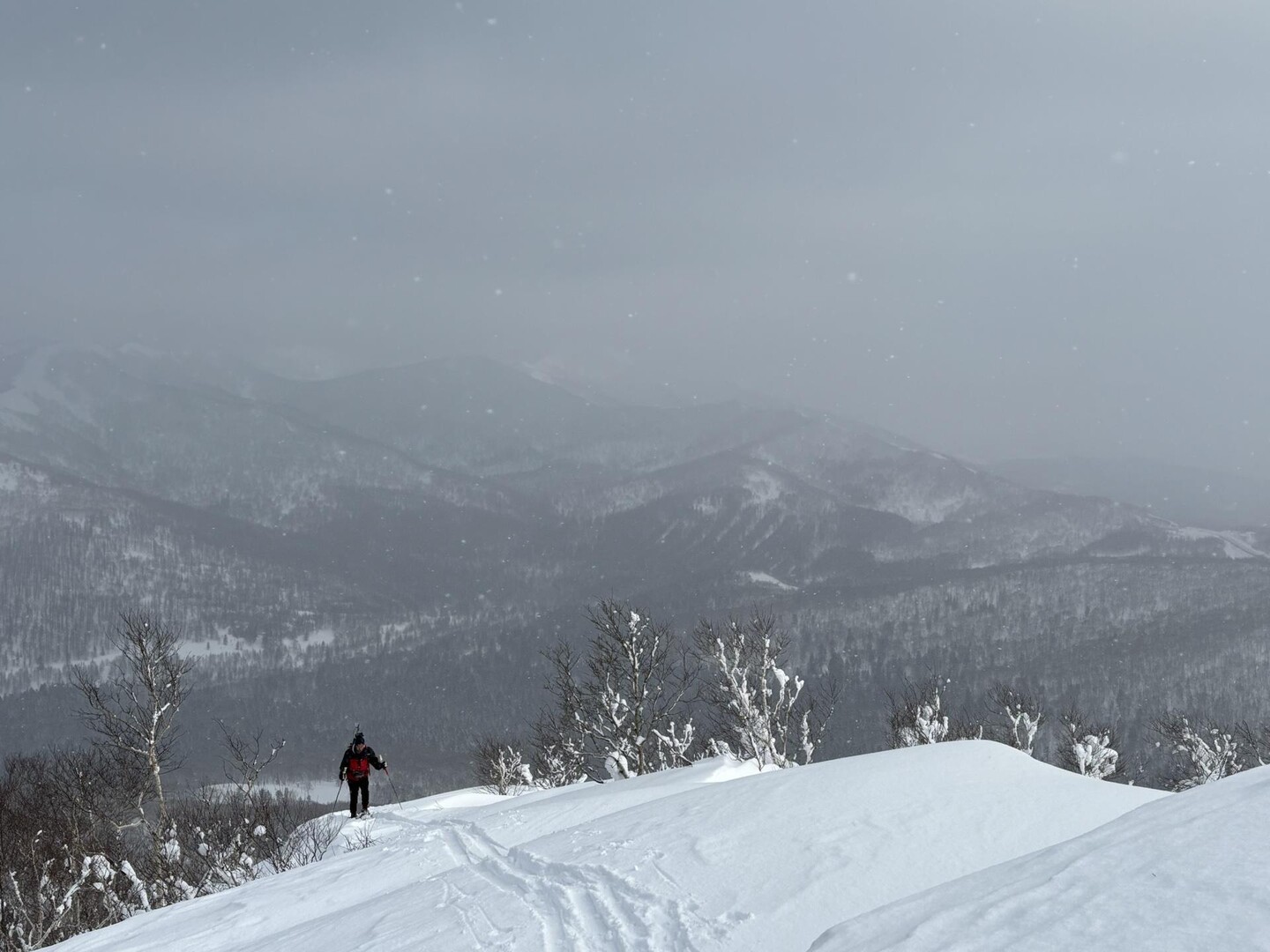 狩勝山 / kosukeyさんのGT3 6の活動データ | YAMAP / ヤマップ