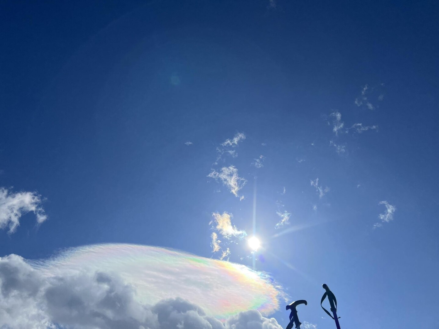 姫神山 / sue sannさんの姫神山の活動データ | YAMAP / ヤマップ