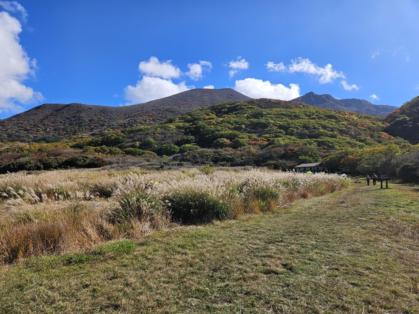 坊ガツルから大船山 / nekomenさんの九重山（久住山）・大船山・星生山の活動日記 | YAMAP / ヤマップ