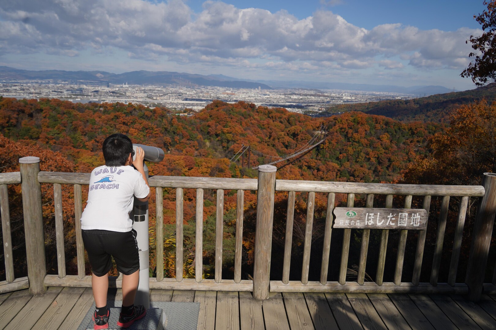 ファミリーで星のブランコ / トコさんの交野山・国見山の活動データ | YAMAP / ヤマップ
