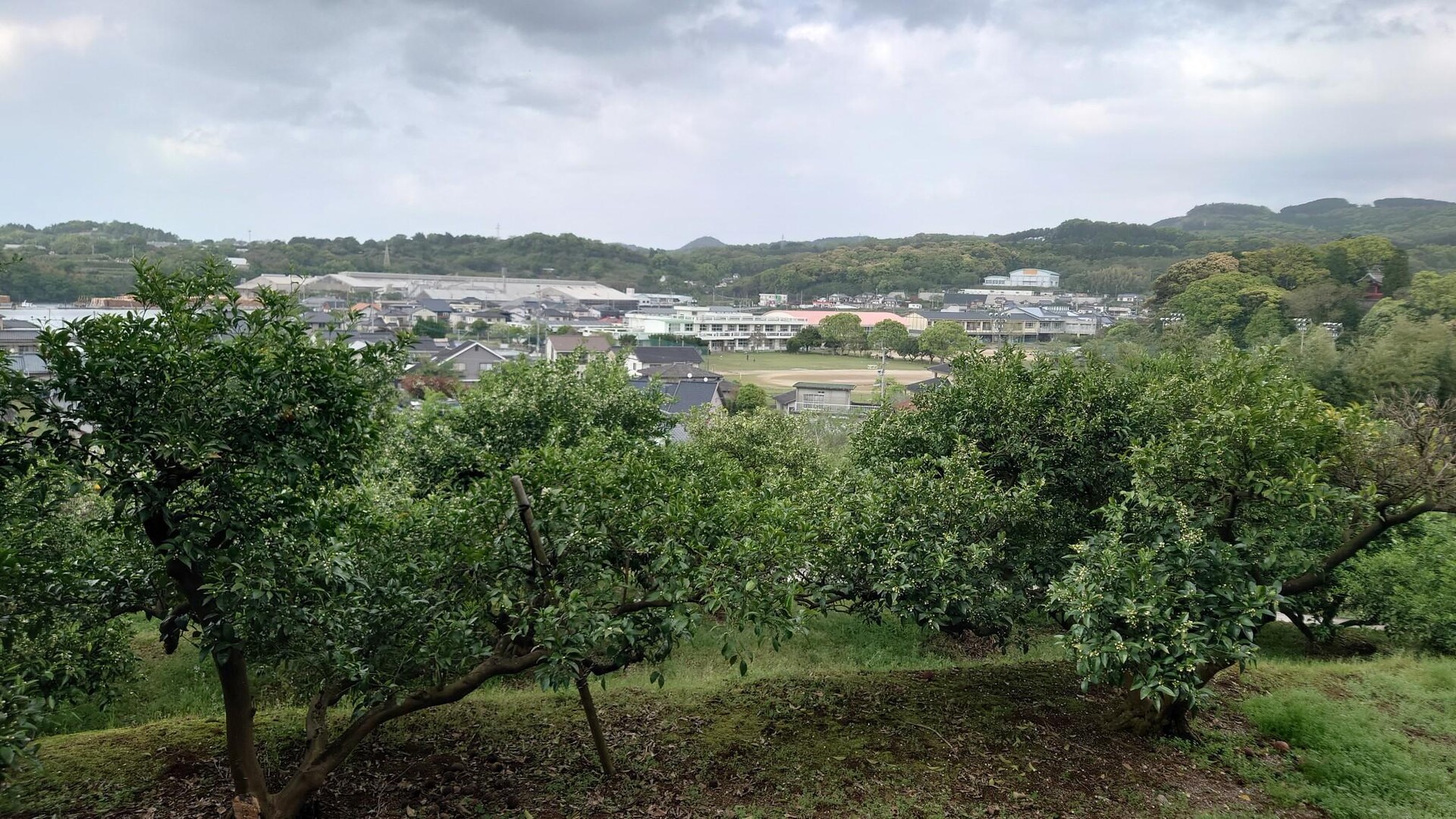 (自作フットパス)袋コース / 青原牧さんの矢筈岳の活動データ | YAMAP / ヤマップ