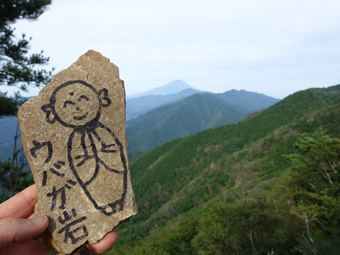 赤鞍ヶ岳（ワラビタタキ＆朝日山） / N7さんの倉岳山・高畑山・九鬼山の活動データ | YAMAP / ヤマップ