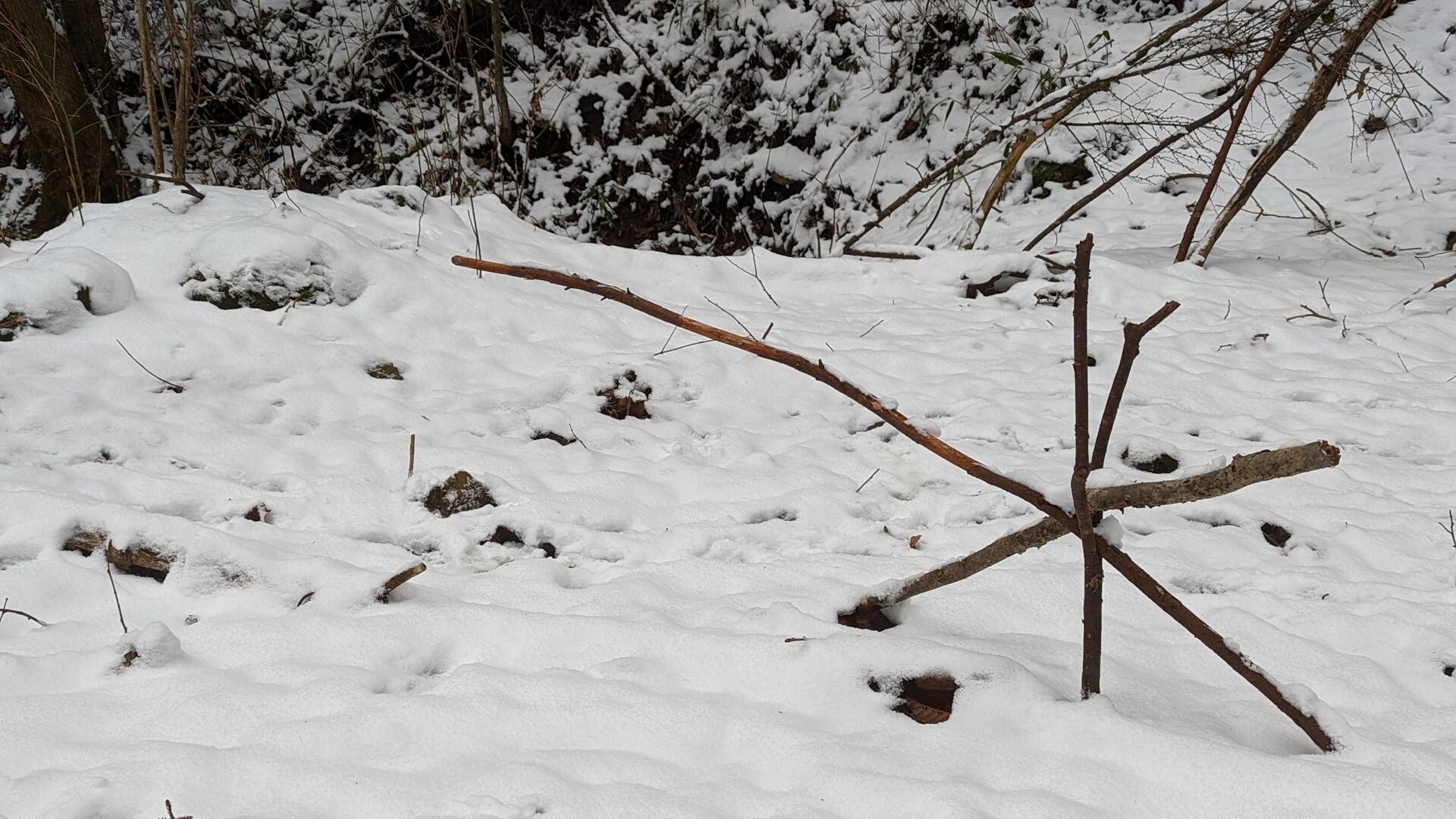 名久井岳 ブレアウィッチプロジェクトのスティックマン発見 / RS-1 PHD さんの名久井岳 の活動データ | YAMAP / ヤマップ