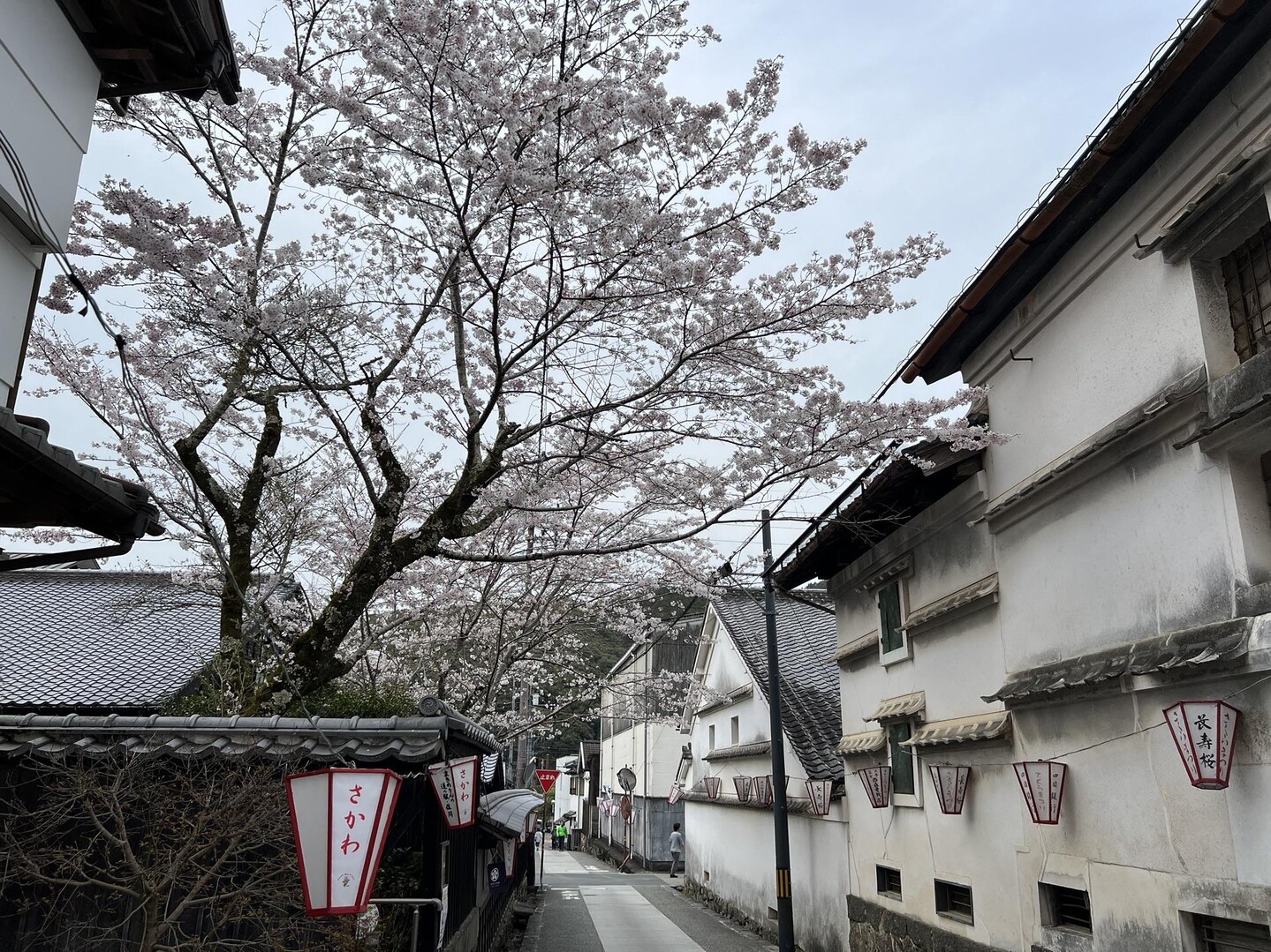 虚空蔵山 四国百名山 / 1091maruさんの佐川町の活動データ | YAMAP / ヤマップ